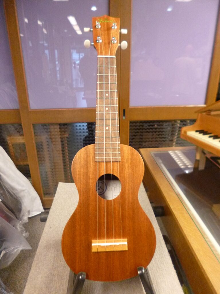 Famous FS-1G - 月光堂楽器店